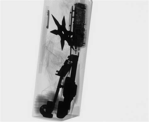 Tensorflow Object Detection Dataset By Iqra Shafqat