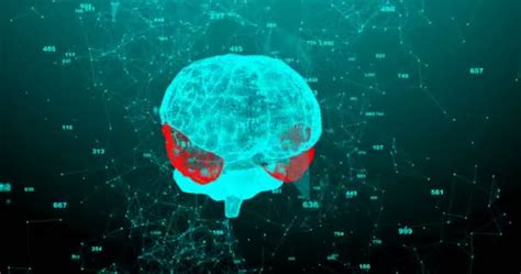 Rotating Human Brain Plexus Structure Evolving Around Seamless Loop — Stock Video © Sacura2015