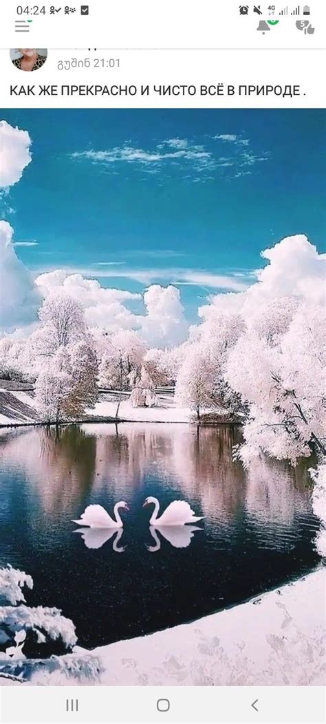 ციცინო ნადარაია Adlı Kullanıcının ბუნება Panosundaki Pin