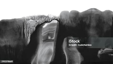 추상 흑백 수채화와 아크릴 흐름 얼룩 얼룩 그림 컬러 캔버스 Monotype 텍스처 수평 배경입니다 수채화 물감에 대한 스톡 사진 및 기타 이미지 Istock