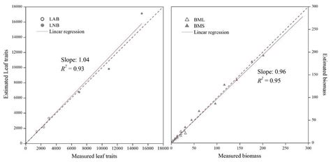 Verification Of The Allometric Models For Estimating The Biomass And
