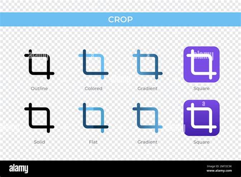 Crop Icon In Different Style Crop Vector Icons Designed In Outline Solid Colored Gradient
