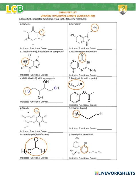 Identifying Functional Groups Worksheet Prntbl