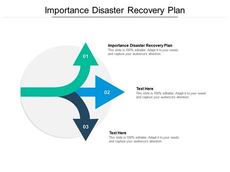 importance disaster recovery plan ppt powerpoint presentation slides format cpb powerpoint