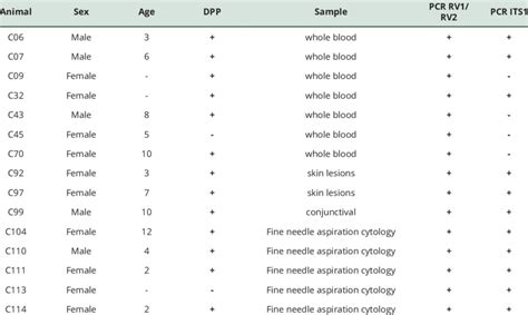 Dogs That Were Positive Through The Pcr Technique With Their