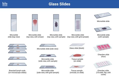 Icon Pack Glass Slides Biorender Science Templates