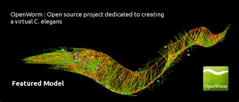 Neuroml — Neuroml Documentation