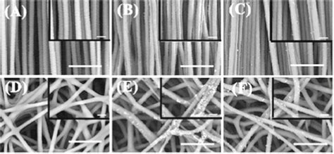 SEM Images Of PCL Before And After Modification APCL A AD PCL B Download Scientific