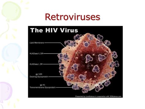Ppt Classification Of Medically Important Viruses Powerpoint Presentation Id 306759