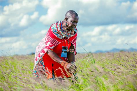 First 1 000 Fungi On Iucn Red List Reveal Growing Threats Iucn Red List Press Release Iucn