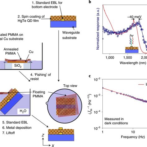 Basic Photodetector Fabrication And Characterization A Schematic Of Download Scientific