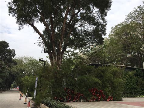 2024羊城创意产业园游玩攻略 【费用】：免费 【地址】：广 【去哪儿攻略】