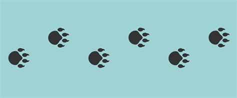 How To Use Steps In Css Animations