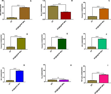apoptosis induction capability of silver nanoparticles capped with acorus calamus l and