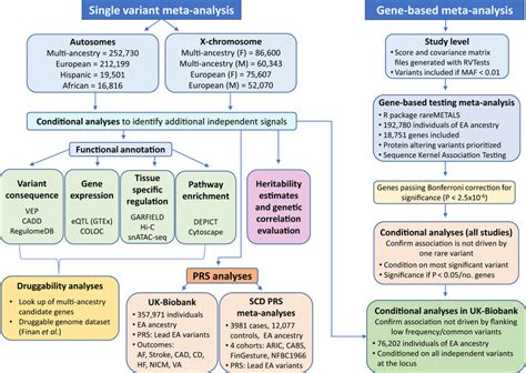 Workflow Of The Genetic Analyses Performed For Qt Jt And Qrs Workflow