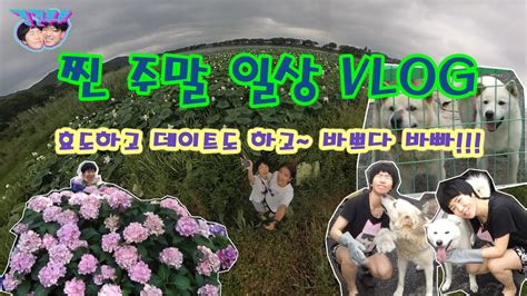 찐 주말 일상 Vlog 효도도 해야 하고 데이트도 해야 돼서 바쁘다 바빠 Youtube