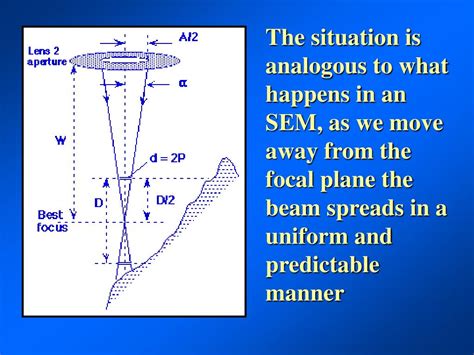 Ppt Deconvolution Microscopy Powerpoint Presentation Free Download