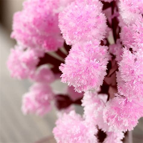 100 Brand And Cherrytree Paper Tree Flowering Col Grandado