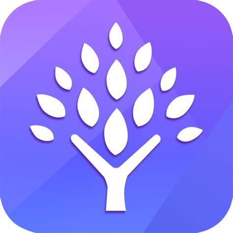 Mind Map Lucid Chart Mapping By Mishui Zeng