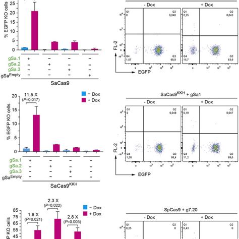 Assessing The Effect Of Alternative Chromatin Conformations On
