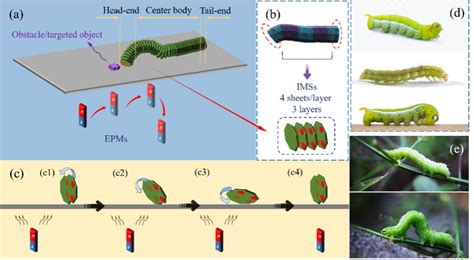 As The Worm Turns Physics And Nano