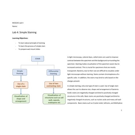 BIOS 242 Week 2 Lab 2 Simple Staining Course Resources