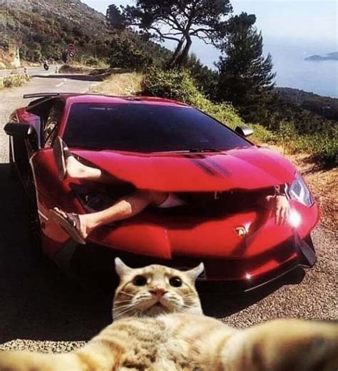 블라인드 블라블라 자율주행 기술을 구독판매하면 어떨까