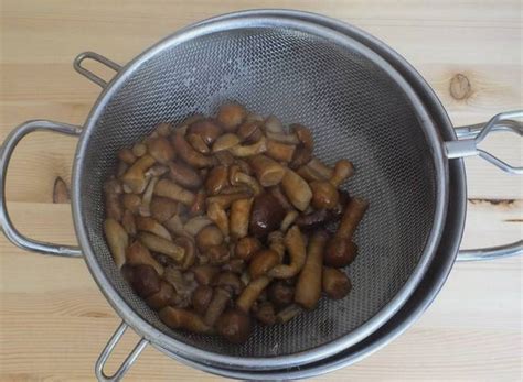 Соленые опята на зиму в банках - 5 самых вкусных рецептов с пошаговыми фото