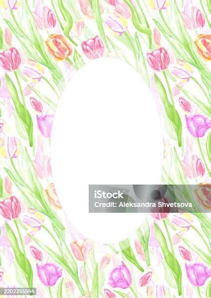 손으로 그린 수채화 튤립 녹색 잎 엽서 프레임 테두리 흰색 배경에 고립 된 꽃의 그림입니다 엽서 초대장 첫 페이지 및 기타 인쇄 제품에 사용할 수 있습니다 0명에 대한 스톡