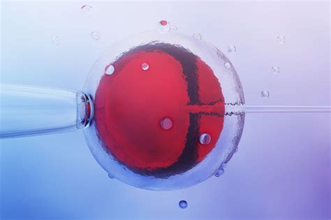 Symptoms Of Ovulation After Hcg Injection What To Expect