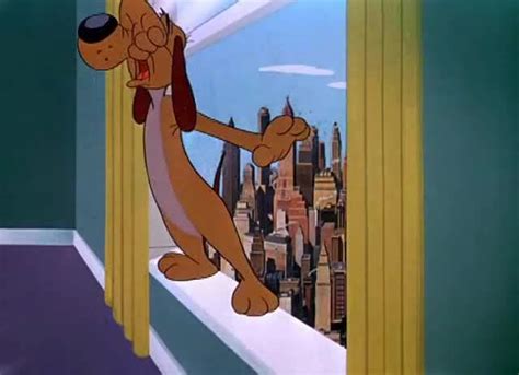 Looney Tunes Golden Collection Season 1 Episode 33 Awful Orphan Watch