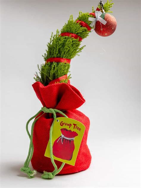 Trader Joes Panko Breaded Tilapia