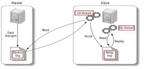 MySQL x 数据库主从复制搭建 CoderTL 博客园