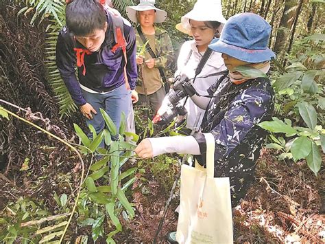 中药资源普查发现196个新物种 人民日报健康客户端 健康时报网 精品健康新闻 健康服务专家
