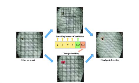 The Principle Of Yolo Detection Xy Are The Center Coordinates Of The