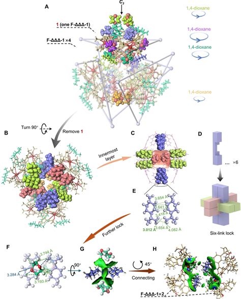 Crystal Structure Of Inner Tetramer A The Structure Of The Inner