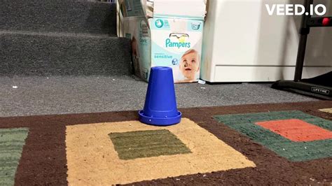 Cone Dectection Object Detection Dataset By Shreyas Chauhan