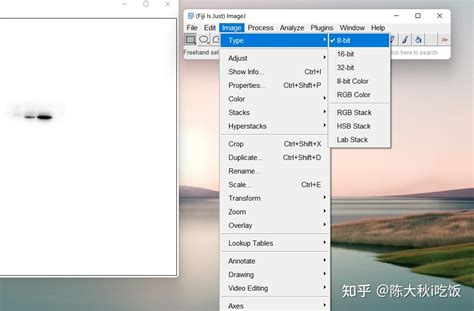 如何使用image j 快速分析 wb 条带 知乎