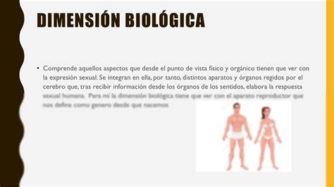 Solution Dimensiones De La Sexualidad 10bn13 Studypool