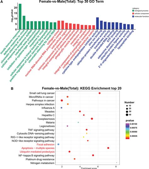 Frontiers Transcriptome Sequencing Analysis Of Sex Related Genes And