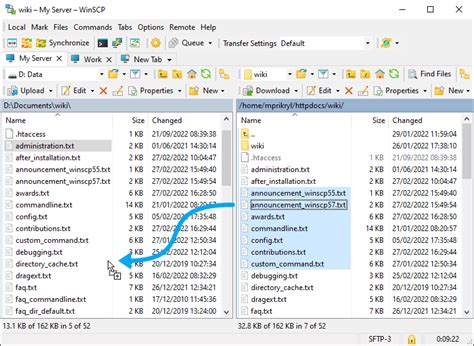 Downloading Files Winscp