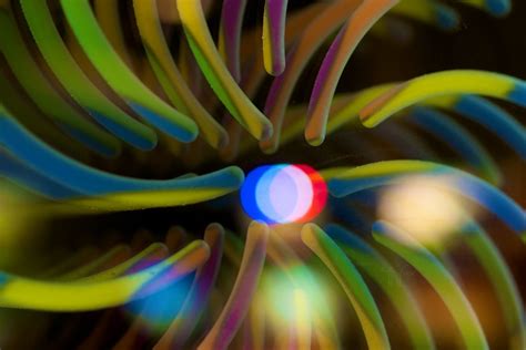 Abstract Week 1 For 52 Of 2014 Submitted For 52 Of 20 Flickr