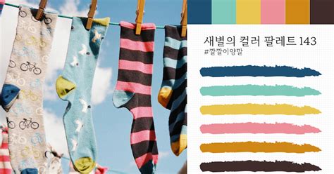 [powerpoint Color Palette Free Download] 새별의 컬러 팔레트 143 깔깔이 양말 Saebyeols Powerpoint Colorful
