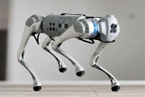 ses quadruped robots allegheny educational systems