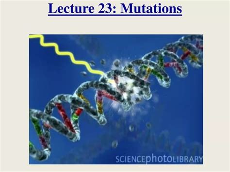 PPT Lecture 23 Mutations PowerPoint Presentation Free Download ID 2534988