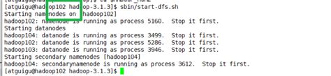 hadoop运行踩坑Error Could not find or load main class org apache hadoop