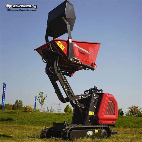 Rhinoceros Is Under Construction