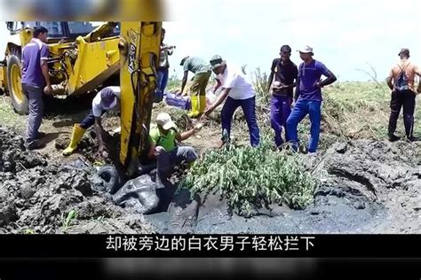 大象深陷泥潭苦苦挣扎，救助人员将其救出救助泥潭大象
