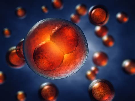 Advantages And Disadvantages Of Induced Pluripotent Stem Cells