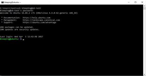 Windows 10 Native Ssh Client Mertqleader